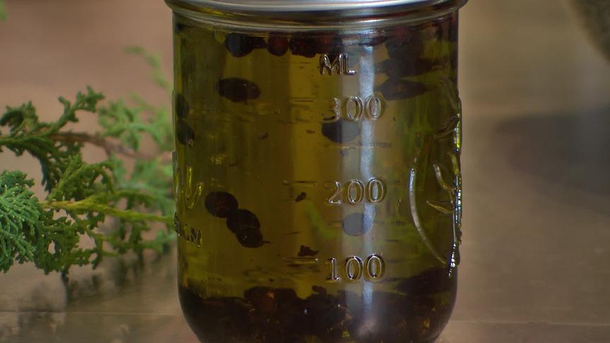 Wacholder - kleine Beere, große Wirkung